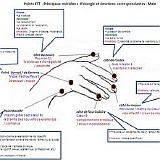 signification-points-eft-main